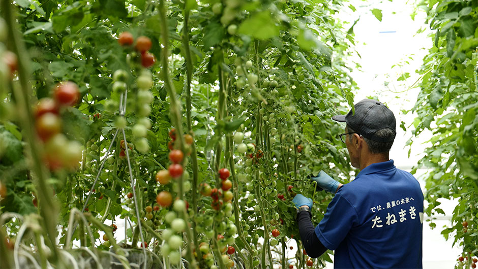 持続可能な農業を実現する。SBプレイヤーズグループの新会社で挑む、農業のイノベーション｜若手ハイキャリアのスカウト転職ならAMBI（アンビ）